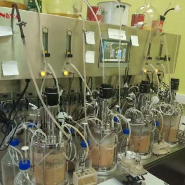 New Using Feedback Benchtop Multiple Bioreactor Fermenter From Innova ...