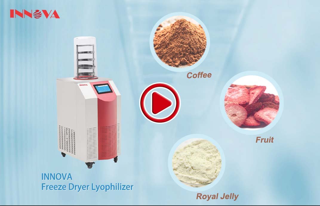 Innova Vacuum Lyophilizer for Food Freeze-drying