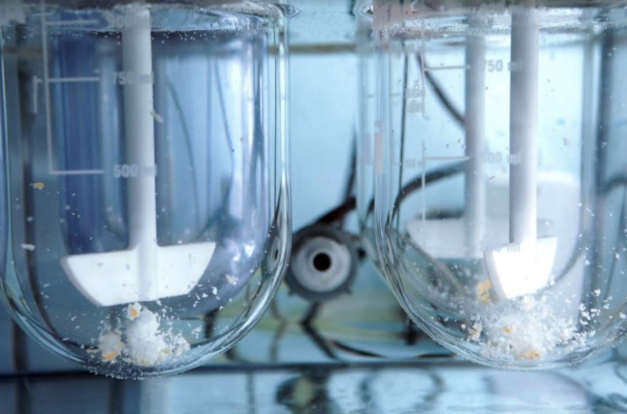 Importance of Dissolution Testing: Ensuring Drug Safety and Efficacy