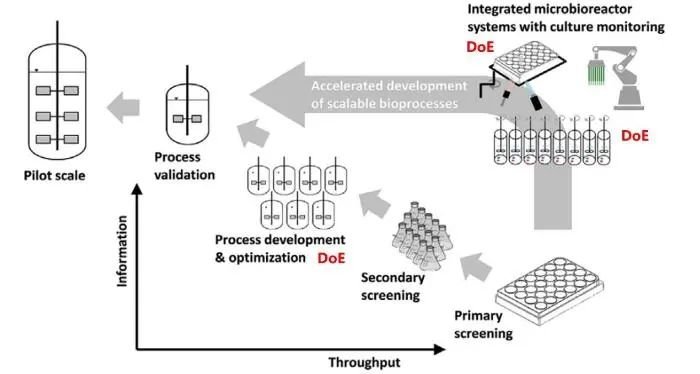 High-throughput parallel fermentation technology
