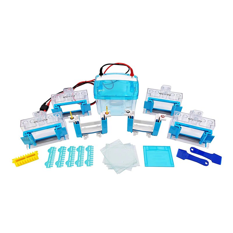 vertical-electrophoresis-cell