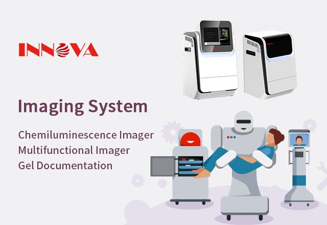 How to select gel imaging system？