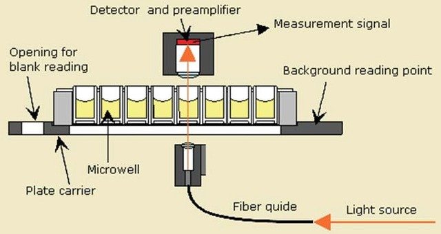 A high-throughput microplate detection technique：Microplate reader ...