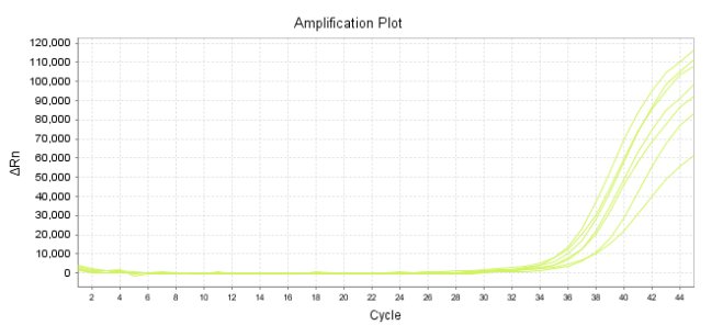 qpcr-common-data-processing-problems-and-solutions