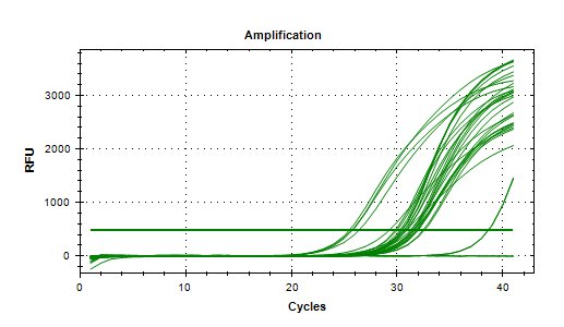 qpcr-common-data-processing-problems-and-solutions