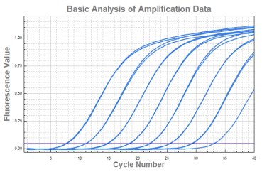 qpcr-common-data-processing-problems-and-solutions