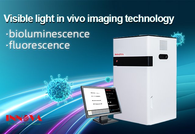 visible-light-in-vivo-imaging-technology