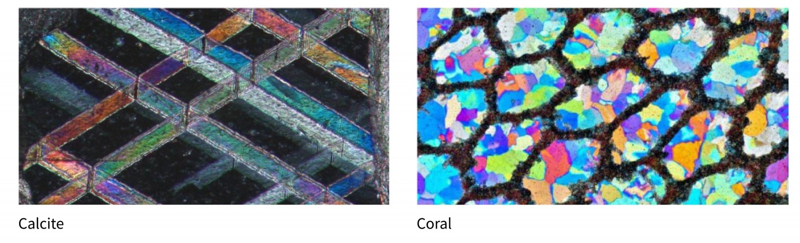 premium-polarization-microscope