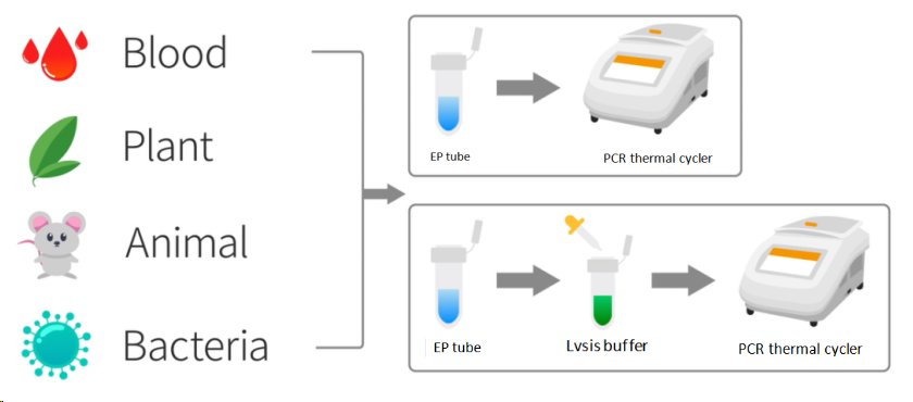 commonly-used-pcr-techniques-and-principles