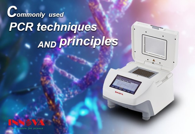 commonly-used-pcr-techniques-and-principles