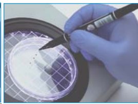 sensing-pressure-colony-counter-inj-3S-inj-5S