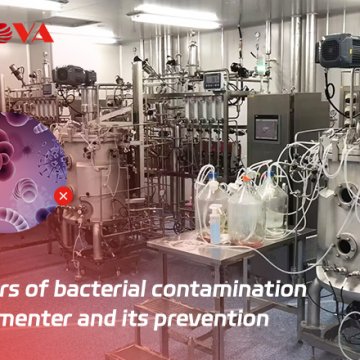 Factors of bacterial contamination in fermenter and its prevention
