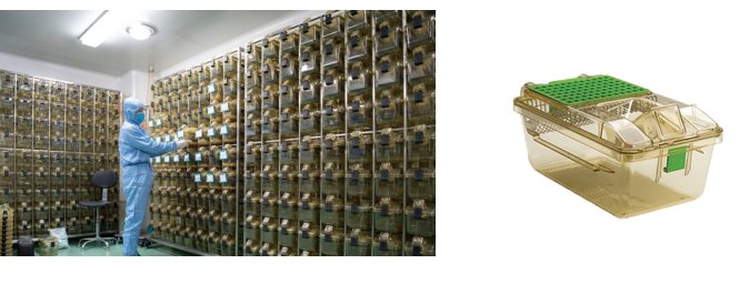 automatic-cage-washer