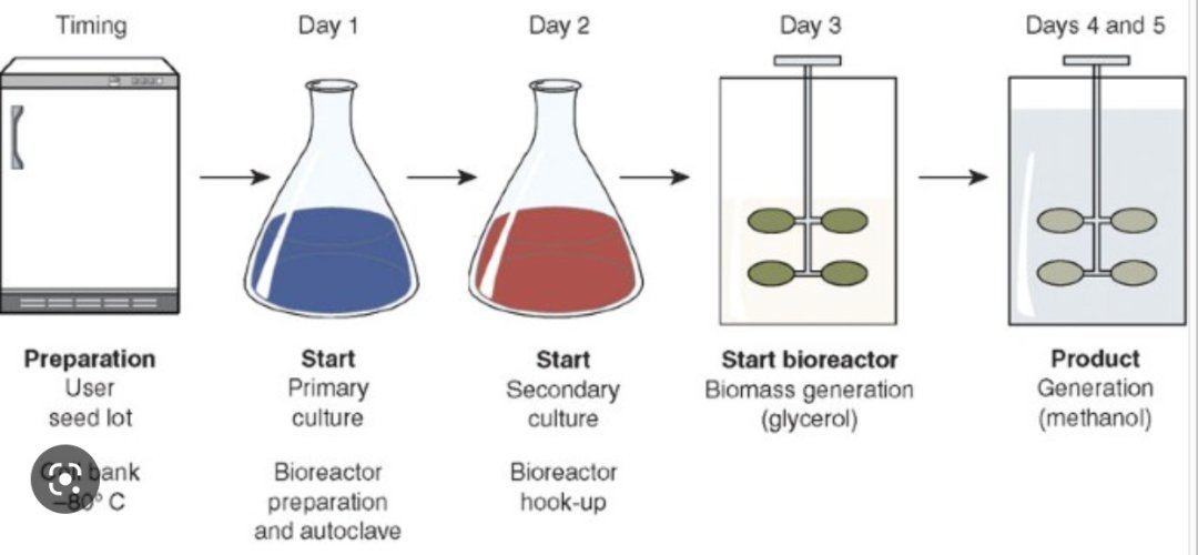 experience-of-pichia-pastoris-fermentation