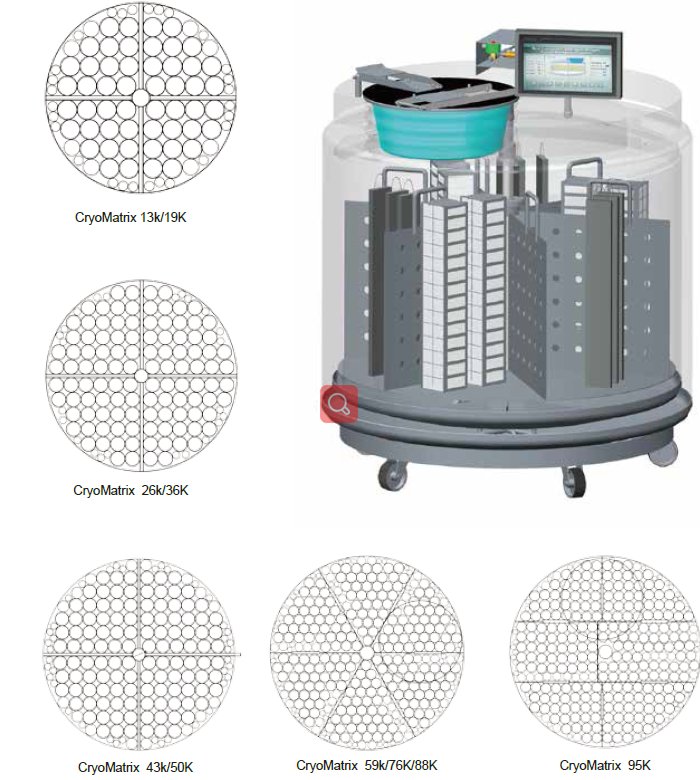 CryoMatrix Series Vapor Phase Cryogenic Freezer