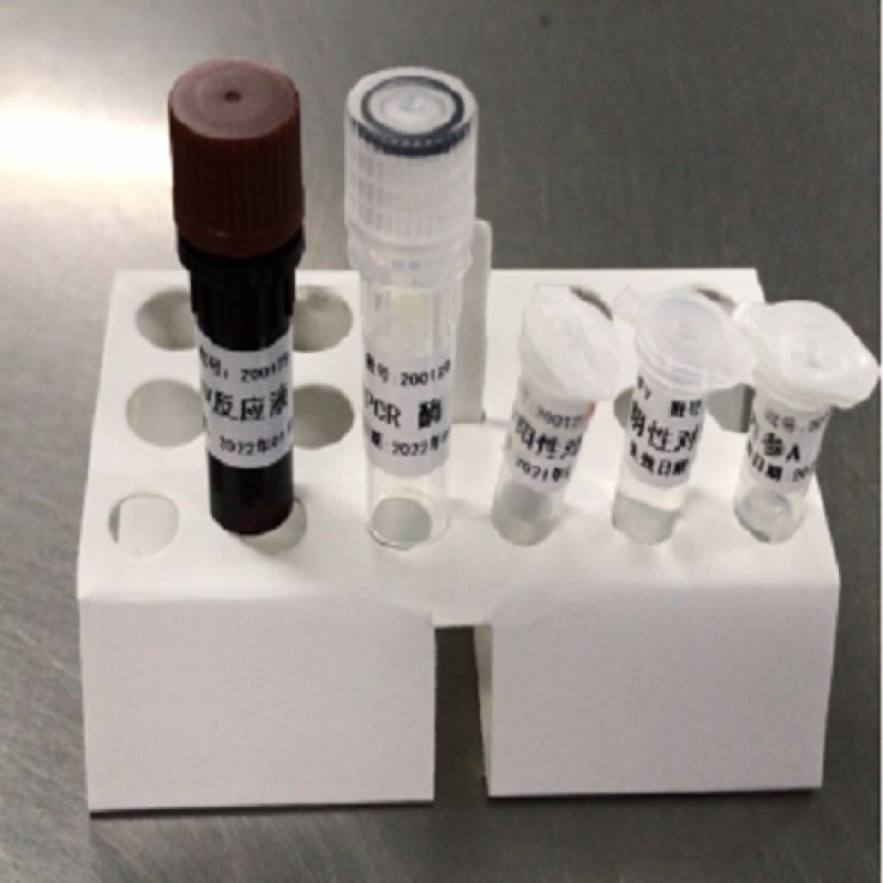 Covid19 RT-PCR detection kits