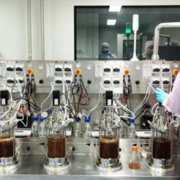 Benchtop Bioreactor Solutions for Lab-Scale Fermentation | INNOVA Biomed