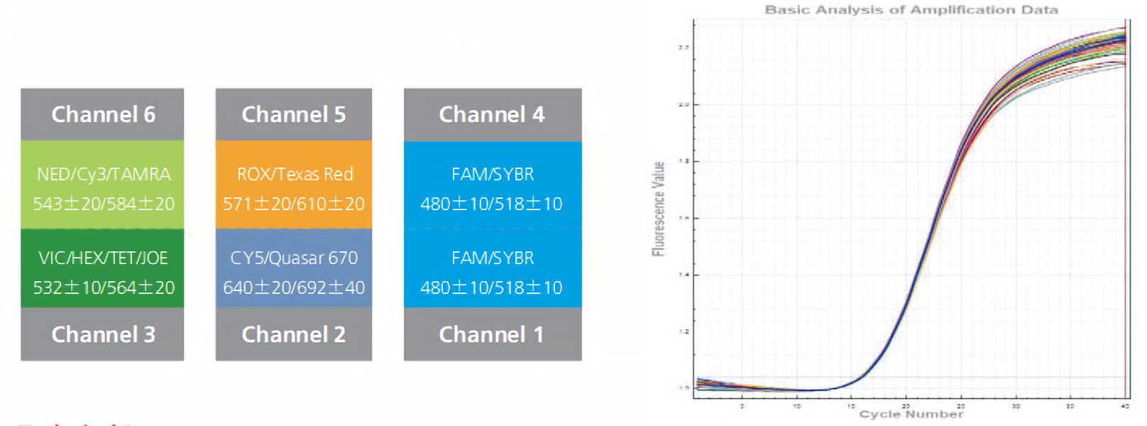 Innova Real-Time PCR Provides Support for Molecular Diagnosis Laboratory