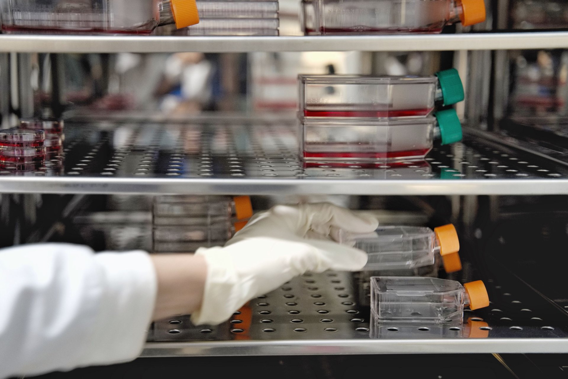 Water Purification Solution for Cell Culture